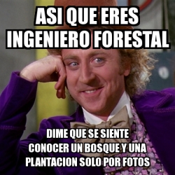 Meme Willy Wonka - asi que eres ingeniero forestal dime que se siente conocer un bosque y una ...