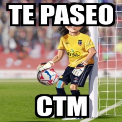 Meme Personalizado - te paseo CTM - 1616819