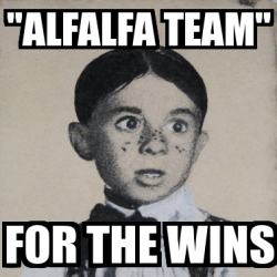 Meme Personalizado - "ALFALFA TEAM" for the wins - 1625588