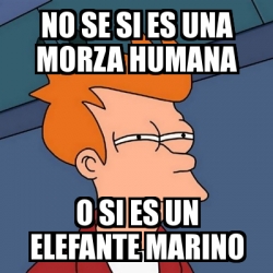 Meme Futurama Fry - no se si es una morza humana o si es un elefante ...