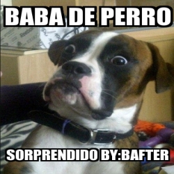 Meme Personalizado - baba de perro sorprendido by:bafter - 1656433