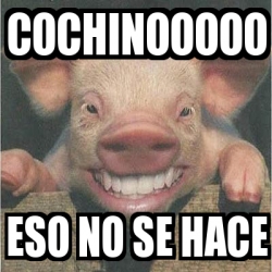 Meme Personalizado - cochinooooo eso no se hace - 1674818