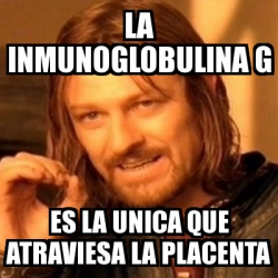 Meme Boromir - LA inmunoglobulina g es la unica que atraviesa la ...