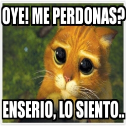 Meme Personalizado - Oye! me perdonas? enserio, lo siento.. - 1730959