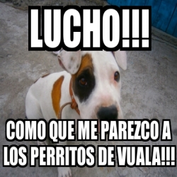 Meme Personalizado - lucho!!! como que me parezco a los perritos de ...