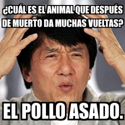 Meme Jackie Chan - Â¿CuÃ¡l es el animal que despuÃ©s de muerto da ...
