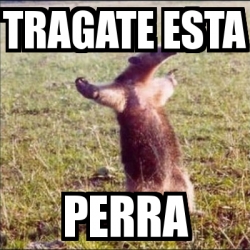 Meme Personalizado - TRAGATE ESTA PERRA - 1875904