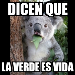 Meme Koala - dicen que la verde es vida - 1894463