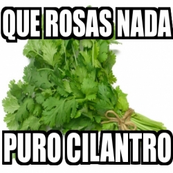 Meme Personalizado - QUE ROSAS NADA PURO CILANTRO - 1895624