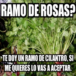 Meme Personalizado - ramo de rosas? te doy un ramo de cilantro, si me ...