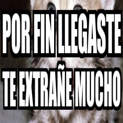 Meme Personalizado - por fin llegaste te extraÃ±e mucho - 1925678
