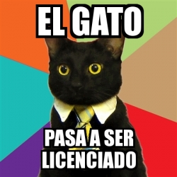 Meme Business Cat - el gato pasa a ser licenciado - 1933943