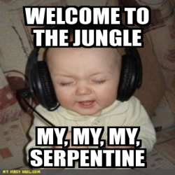 Meme Personalizado - welcome to the jungle my, my, my, serpentine - 1957376