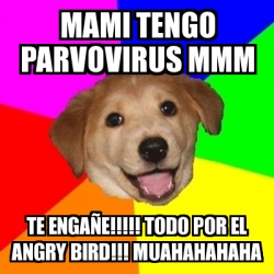 Meme Advice Dog - mami tengo parvovirus mmm te engaÃ±e!!!!! todo por el ...