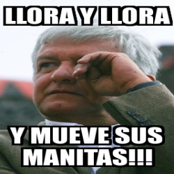 Meme Personalizado - llora y llora y mueve sus manitas!!! - 1985582