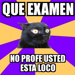 Meme Anxiety Cat - que examen no profe usted esta loco - 1988810