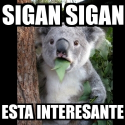 Meme Koala - sigan sigan esta interesante - 10032757