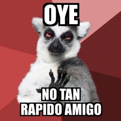 Meme Chill Out Lemur - oye no tan rapido amigo - 11592076