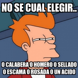 Meme Futurama Fry - no se cual elegir.. o calabera o homero o sellado o ...