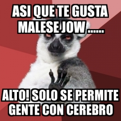 Meme Chill Out Lemur - asi que te gusta malese jow ...... alto! solo se ...