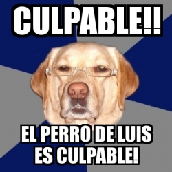Meme Perro Racista - culpable!! el perro de luis es culpable! - 12218731