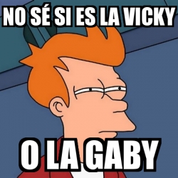 Meme Futurama Fry - no sÃ© si es la vicky o la gaby - 12438831