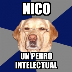 Meme Perro Racista - nico un perro intelectual - 12719048