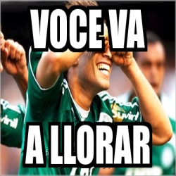 Meme Personalizado - voce va a llorar - 12865563