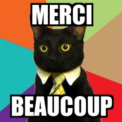 Meme Business Cat - MERCI BEAUCOUP - 13162478