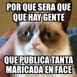 Meme Grumpy Cat - POR QUE SERA QUE QUE HAY GENTE QUE PUBLICA TANTA ...