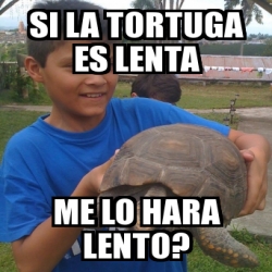 Meme Personalizado - si la tortuga es lenta me lo hara lento? - 13845339