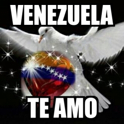 Meme Personalizado - venezuela te amo - 13099924