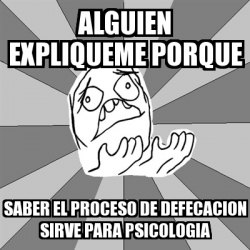 Meme Whyyy - Alguien expliqueme porque saber el proceso de defecacion ...