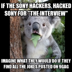 Meme Koala - If the Sony Hackers, hacked sony for "the interview ...