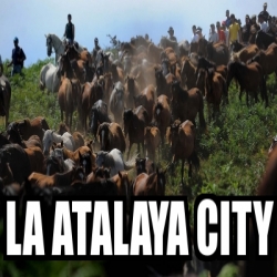 Meme Personalizado - La atalaya city - 14421916