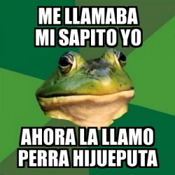 Meme Foul Bachelor Frog - me llamaba mi sapito yo ahora la llamo perra ...