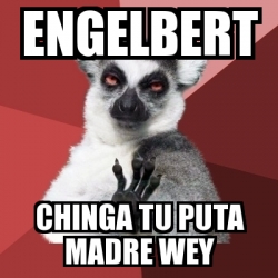 Meme Chill Out Lemur - engelbert chinga tu puta madre wey - 14580234
