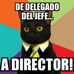 Meme Business Cat - de delegado del jefe... a director! - 14630027