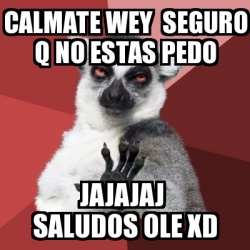 Meme Chill Out Lemur - calmate wey seguro q no estas pedo jajajaj ...