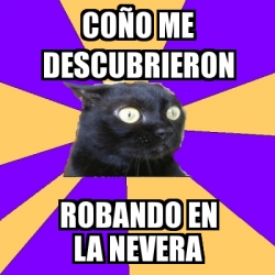 Meme Anxiety Cat - coÃ±o me descubrieron robando en la nevera - 14754457