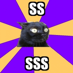 Meme Anxiety Cat - ss sss - 14847017