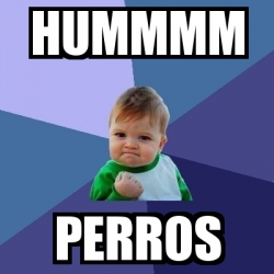 Meme Bebe Exitoso - HUMMMM PERROS - 14983275