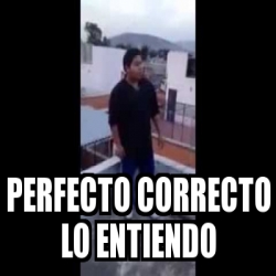 Meme Personalizado - perfecto correcto lo entiendo - 15132986