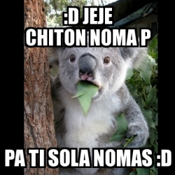 Meme Koala - :D JEJE CHITON NOMA P PA TI SOLA NOMAS :D - 15160843