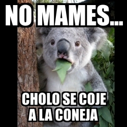 Meme Koala - no mames... cholo se coje a la coneja - 15175179