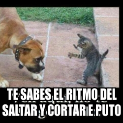 Meme Personalizado - te sabes el ritmo del saltar y cortar e puto ...