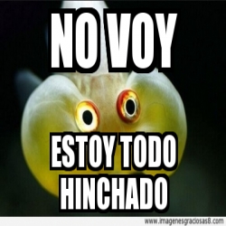 Meme Personalizado - No voy Estoy todo hInchado - 15192419