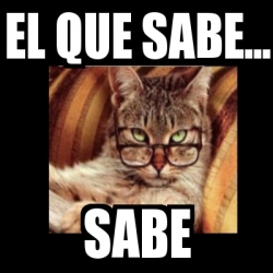 Meme Personalizado - El que sabe... sabe - 15202047
