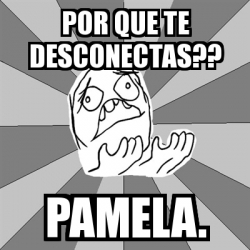 Meme Whyyy - por que te desconectas?? pamela. - 15241238