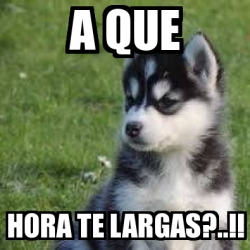 Meme Personalizado - a que hora te largas?..!! - 15890664